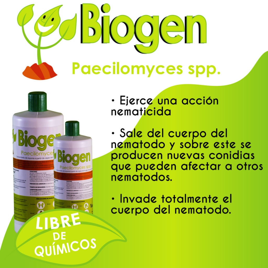 Paecilomyces spp. – Bolsa Nacional de Productos Agropecuarios