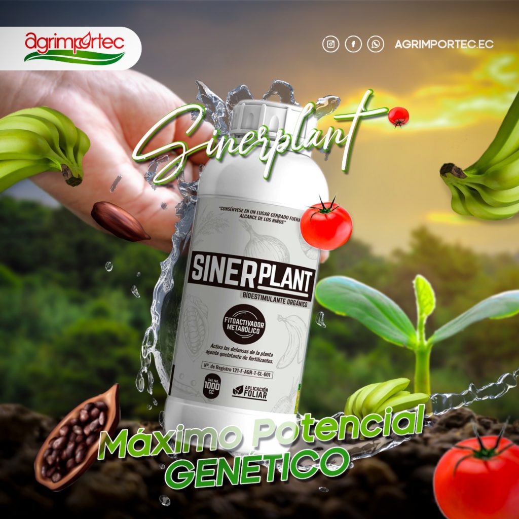 Maní quebrado – Bolsa Nacional de Productos Agropecuarios